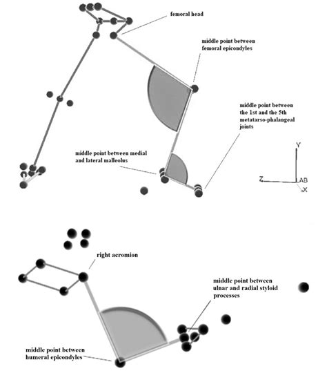Angles And Ranges Of Motions Of Lower Above And Upper Below Limb
