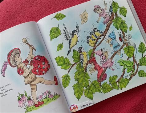 Adult Coloring Book Pages Colouring Pages Vogl Fairies Christopher