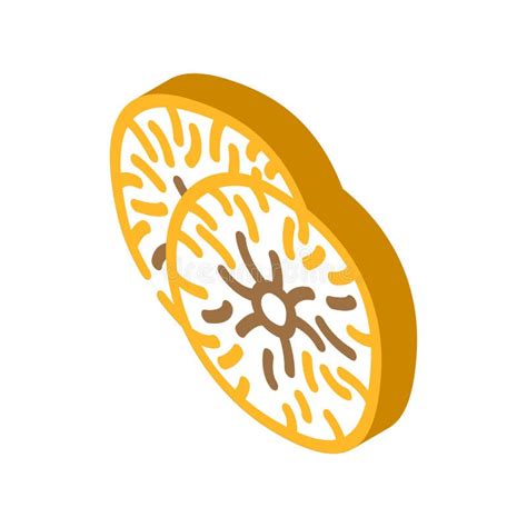 Figs Dried Fruit Isometric Icon Vector Illustration Stock Vector