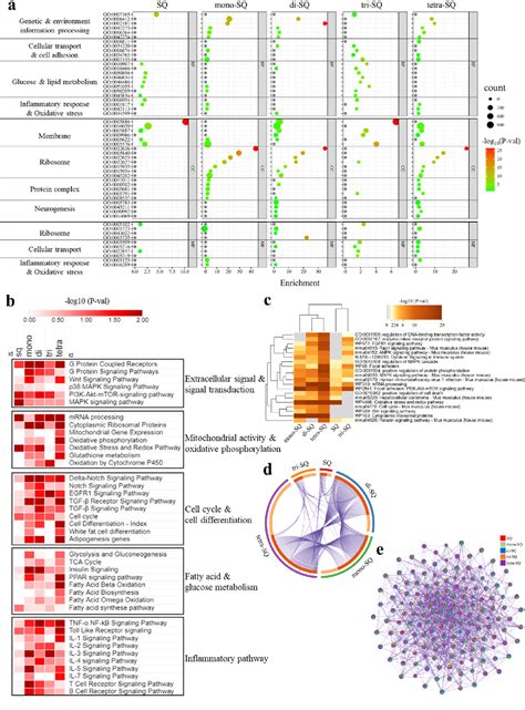Figure 2 From A Comparative Transcriptomics Analysis Reveals Ethylene