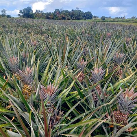 Riyadh Mohammed Posted On Linkedin