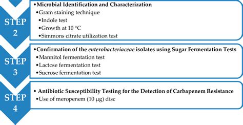 A Flowchart Of The Detection Of The Carbapenem Resistant Download