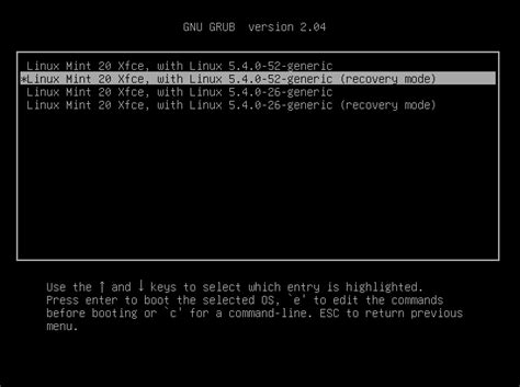 Fix Linux Mint Booting To The Black Screen Issue Foss Linux