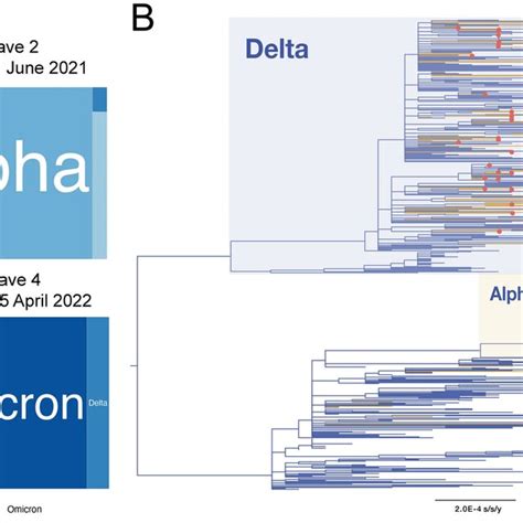 Phylogenetic Analysis Of The Total Sars Cov 2 Lineages Available From Download Scientific