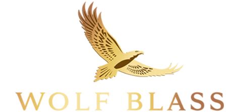 Wolf Blass Liq9