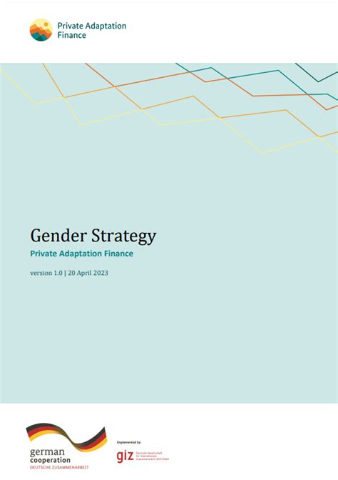 Gender Strategy Of Giz Project On Private Adaptation Finance
