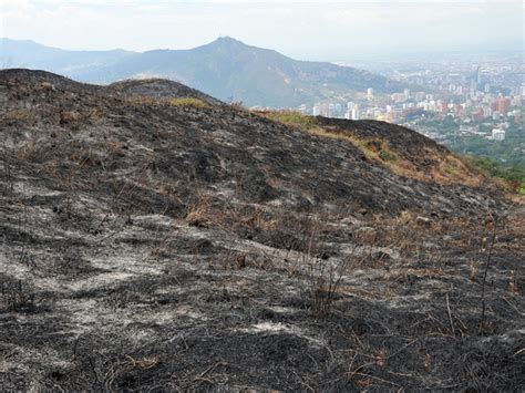 Otro Incendio Forestal En Cali