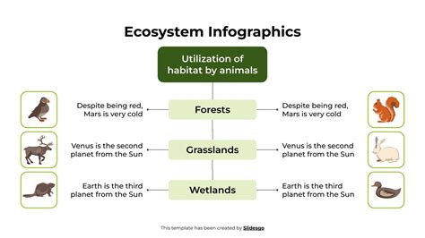 Ecosystem Infographics Presentation