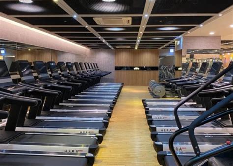 헬스보이짐 프리미엄 신촌점 40 할인 헬쓱 헬스권장터