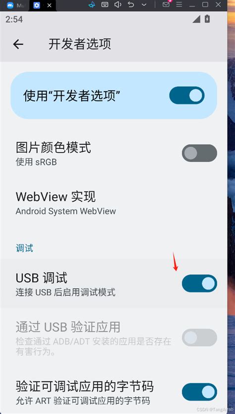 Vscode Flutter 项目连接 Mumu 浏览器 技术栈