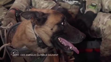 Carmen Lorenzo On Linkedin Courage Is What It Takes To Stand Up And Speak Courage Is Also