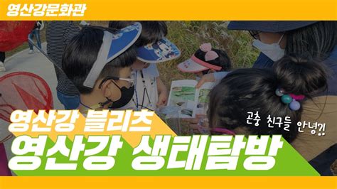 [영산강문화관] 영산강 블리츠 영산강 생태탐방 활동 속으로~💛💜 Youtube