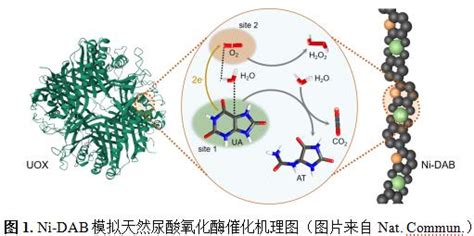 东南大学 Southeast University