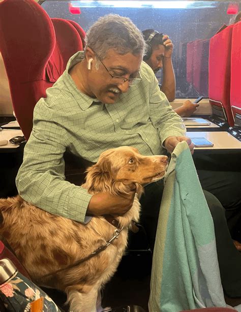 As I Am Pushed By My Peers And Well Wishers To Be A Bit More Active On