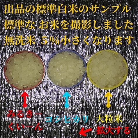 【希少】コシヒカリ 玄米5kg 新米 酵素米 お米 米 セール「標準 白米に精米」｜paypayフリマ