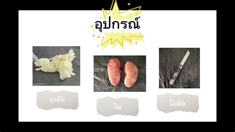 งานส่งครู อุลัย มหาเทพชีวะ Youtube