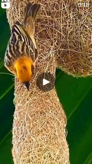 Pin Em Construcciones De Adobe