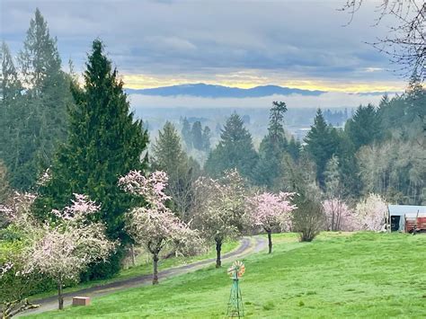 Damon Yauney Damon Yauney • Instagram Photos And Videos