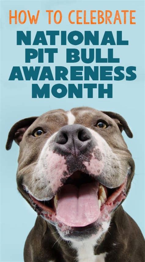 October Is National Pit Bull Awareness Month The Dogington Post