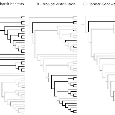 A Universal Phylogenetic Tree Download Scientific Diagram