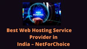 Best Web Hosting Service Provider In India NetForChoice