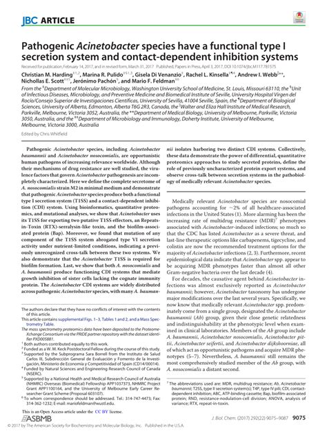Pdf Pathogenic Acinetobacter Species Have A Functional Type I Secretion System And Contact