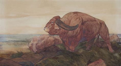 Lost Original “jungle Book” Illustrations Come To Auction Alongside An