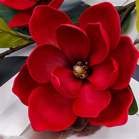 Red Magnolia Flower Pictures