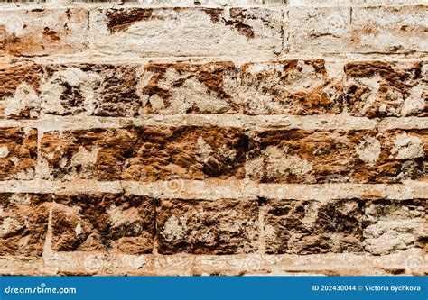Cypress Wall Texture Pattern Red Cypress Blocks Close Up Old