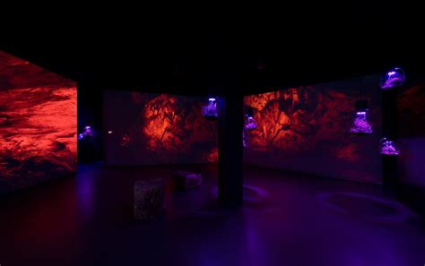 Contemporary Cave Art Hito Steyerl Esther Schipper