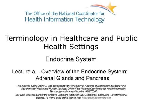Endocrine System Lecture A Slides Ppt