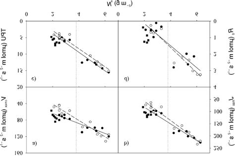 Relationships Between Photosynthesis Model Parameters And Leaf Nitrogen