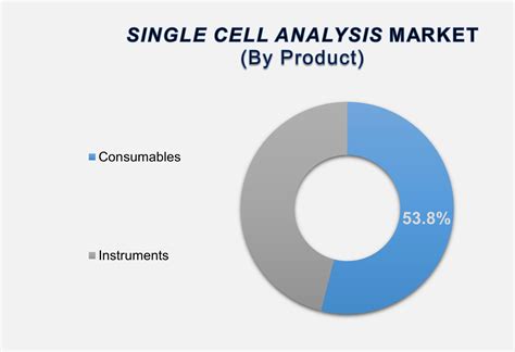 Single Cell Analysis Market Size Share Trends To 2033