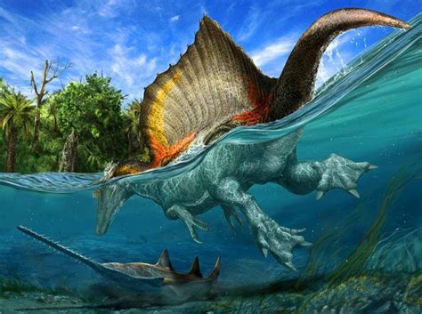 The Earth Story Spinosaurus Aegyptiacus Spinosaurus Paleontology
