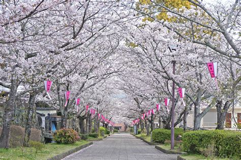 旭ヶ岡公園 鹿島市公式観光サイトかしまいろ
