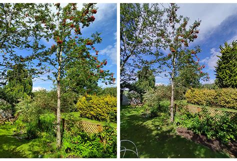 TCL G Review Excellent Specs Build And Performance For The Price Review ZDNet