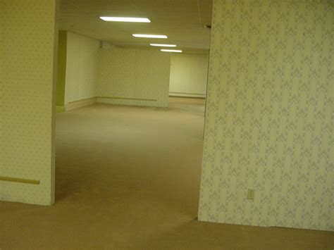 History The Backrooms Info