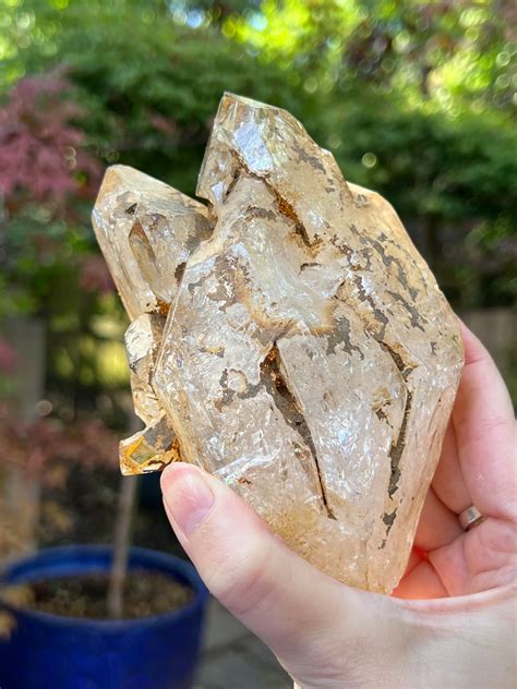 Fenster Window Elestial Clear Golden Quartz Crystal Large 746g 119 Etsy