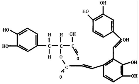 Effects Of Salvianolic Acid A On NIH T Fibroblast Proliferation Collagen Synthesis And Gene