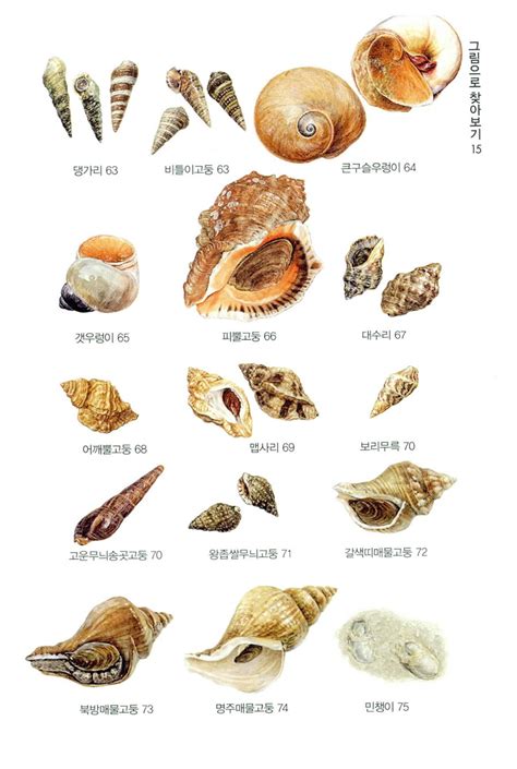 알라딘 미리보기 갯벌 나들이도감