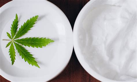 마리화나 잎 대마초 대 마 크림의 세부 사항대마초 주제 Als 개념 대 마 식물 약 제 오일 Cbd의 생물 및 생태 식물에서