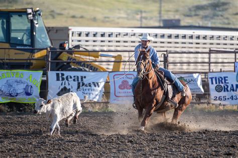 Great Northern Ram Rodeo Finally Returns After Two Year Hiatus Havre