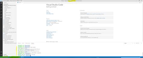 Anaconda Commands On Visual Code Remote Terminal Stopped Working