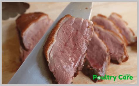 How To Cook Duck Breast Perfectly 5 Steps With Picture Poultry