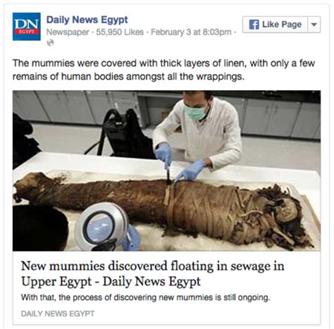 Thousand Year Old Egyptian Mummies Found Floating In Sewage Sciencealert