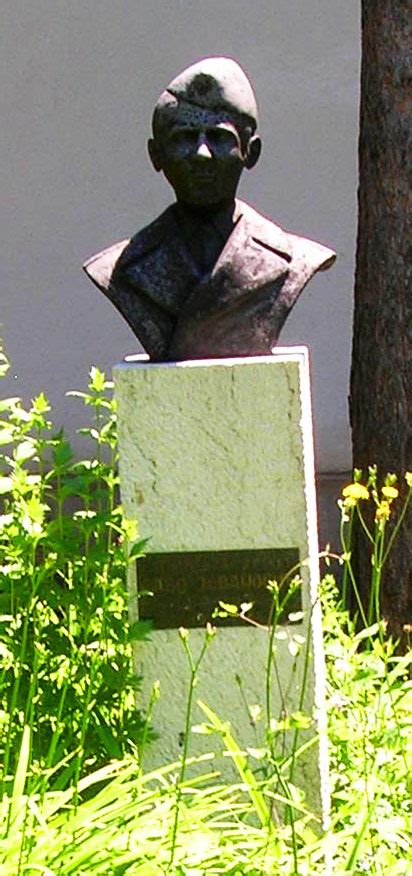 Историјат Саво Јовановић Сирогојно