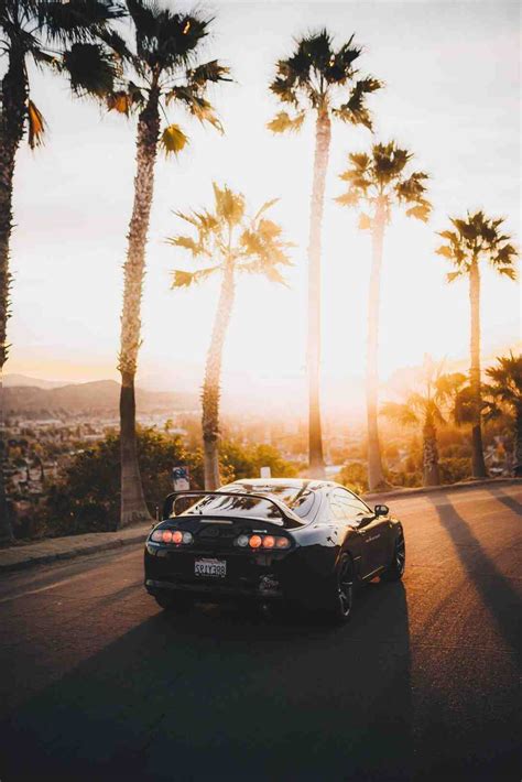 Pierre Terrasse Sur Plot Stone Import