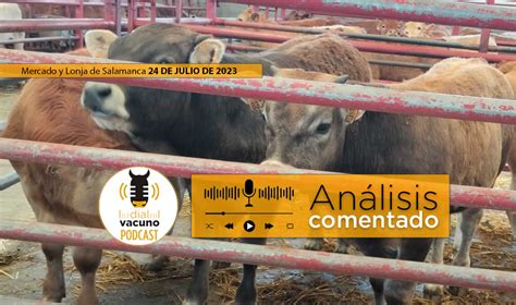 Análisis de la lonja y mercado de Salamanca de Julio Vacuno de élite Pasión por las vacas