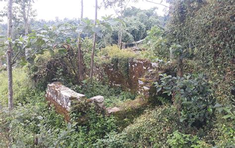 आदिवासी जनजाति सङ्ग्रहालय खण्डहर बन्यो