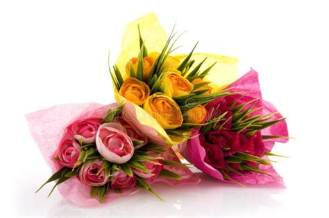 Wrapped Flowers Stock Image Image Of Packed Yellow Flowers 6514933